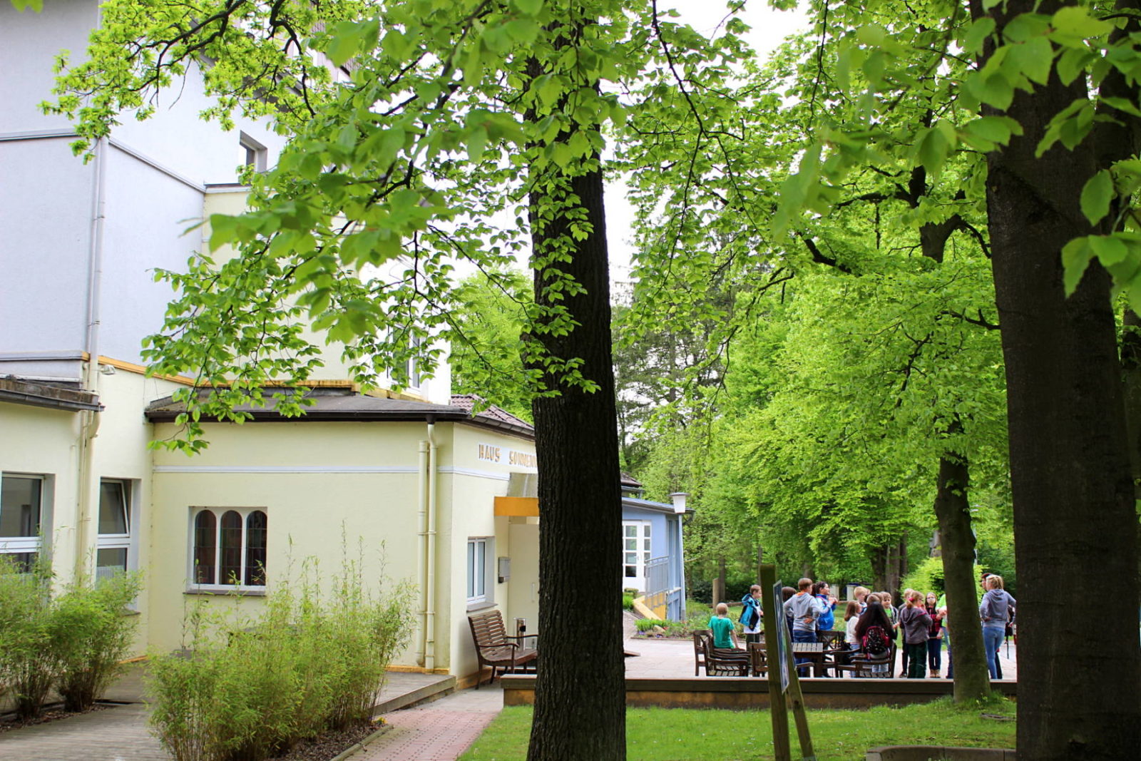 Walderleben - den Wald mit Kubikus in Bad Essen neu entdecken